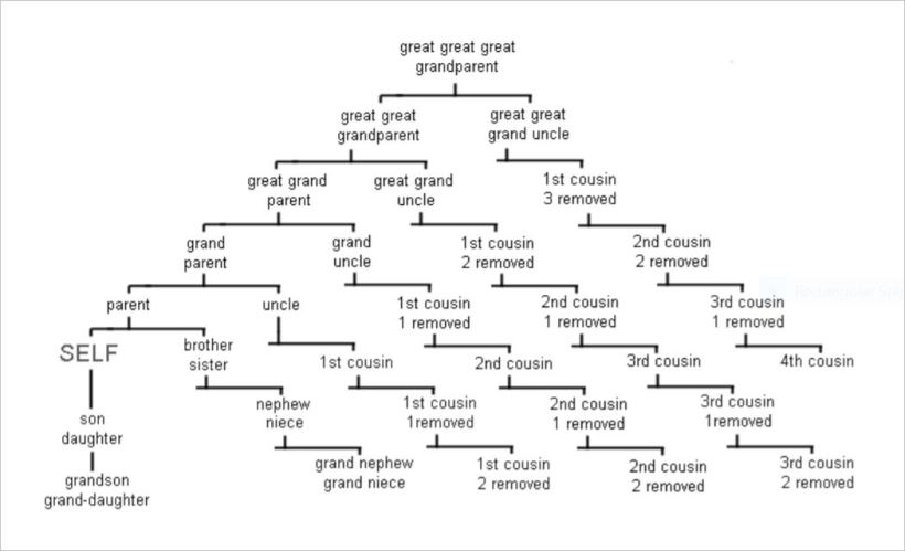 Family Tree Tips: Begin at the beginning | Renfrew-Collingwood ...